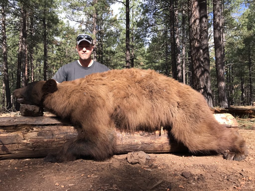 Trophy Bears - Summit Guiding and Outfitting
